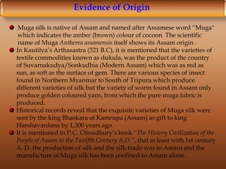 Muga culture; endemic practice of assam | PPTX