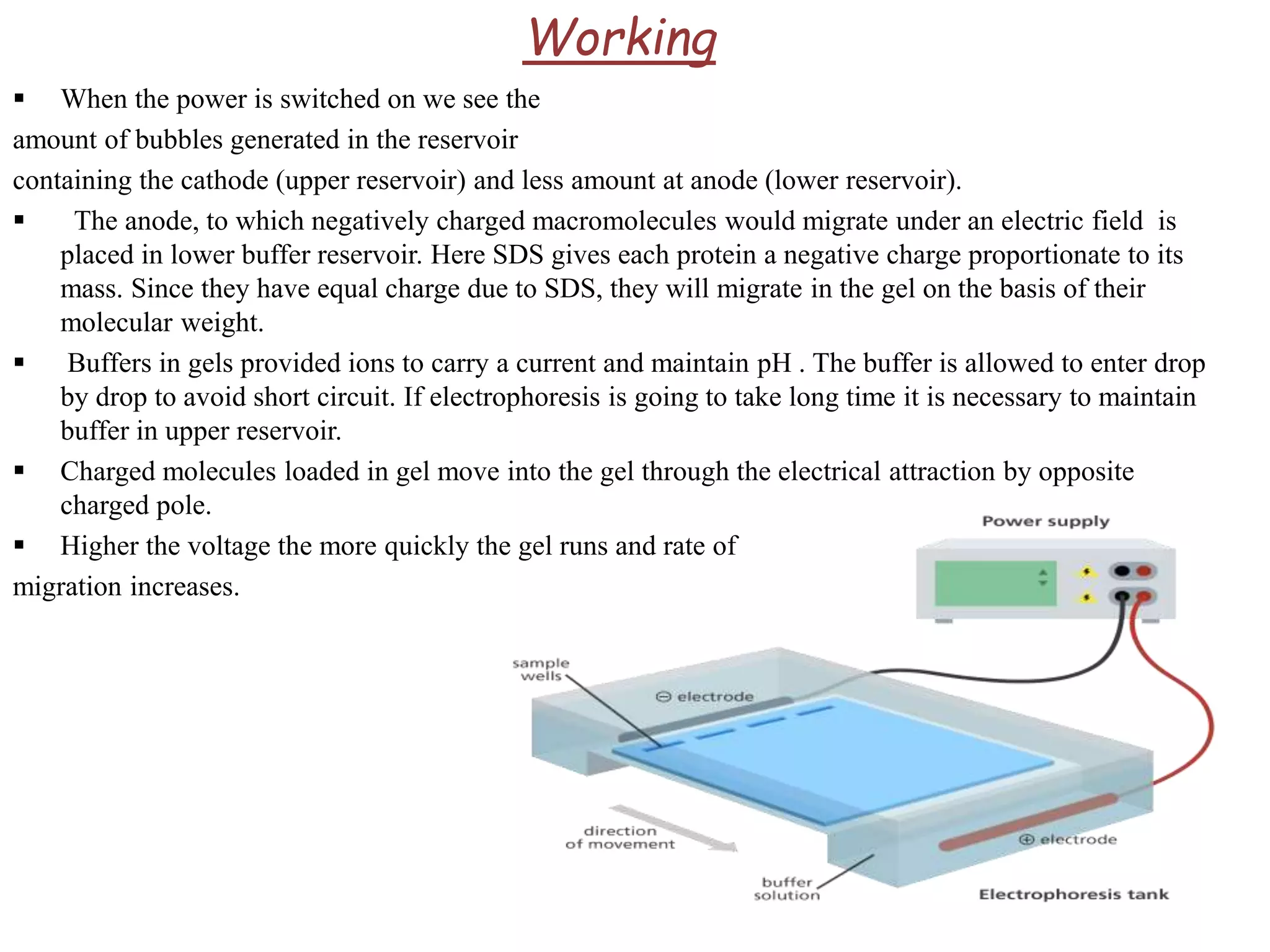 MUGDHA's SEMINAR MSc sem 1.pptx