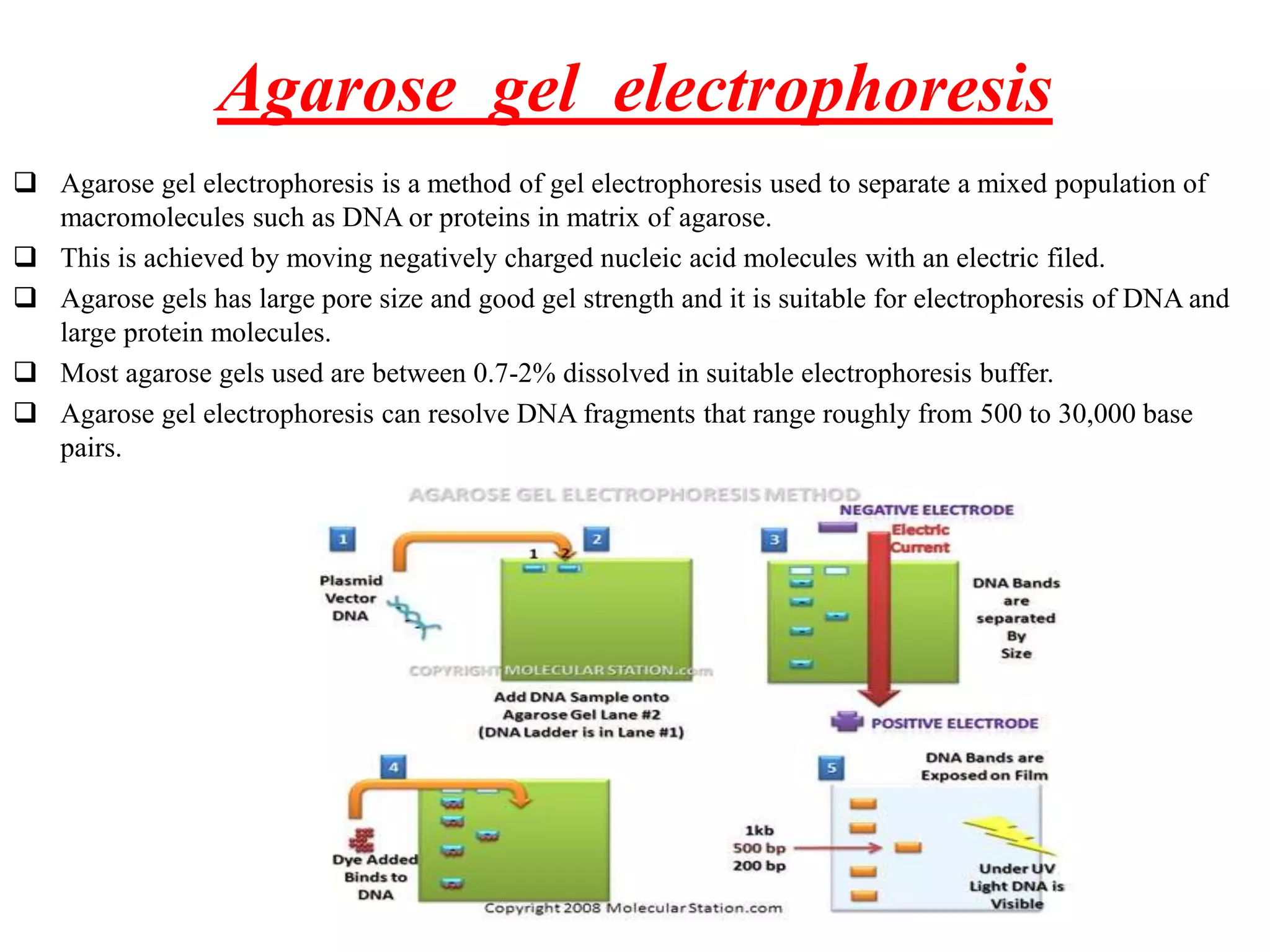 MUGDHA's SEMINAR MSc sem 1.pptx