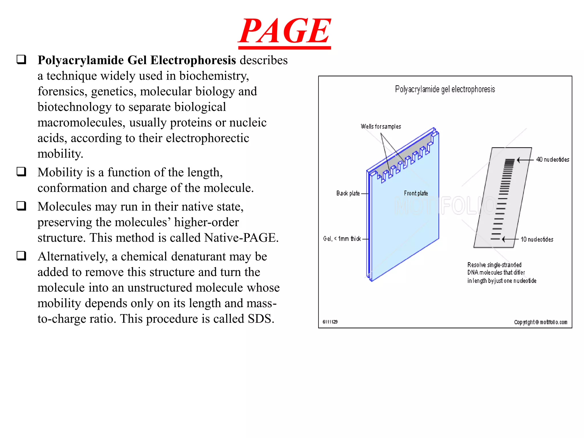 MUGDHA's SEMINAR MSc sem 1.pptx