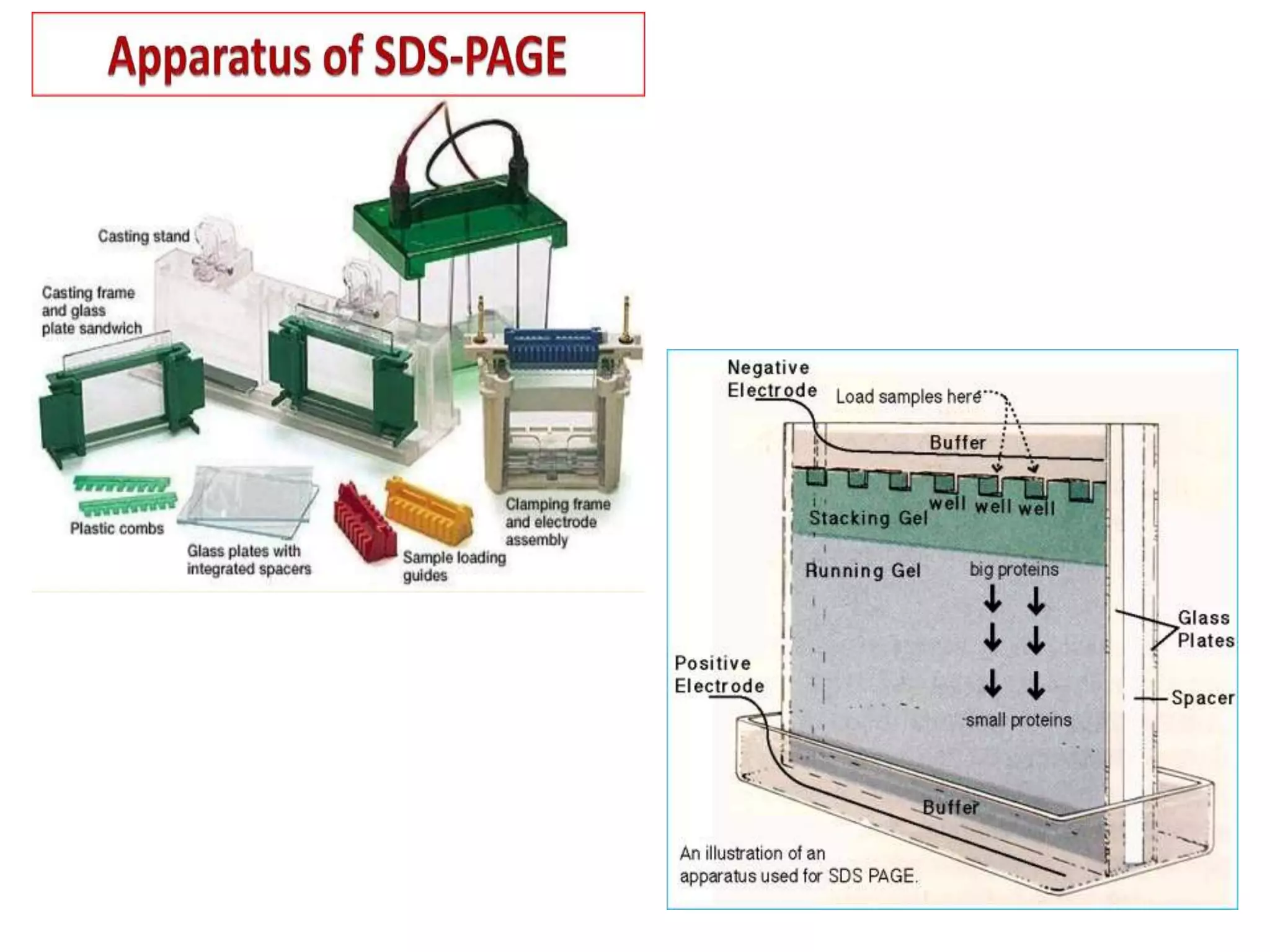 MUGDHA's SEMINAR MSc sem 1.pptx