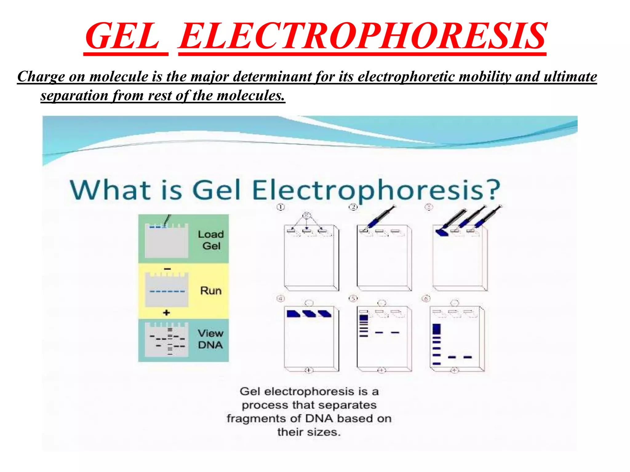 MUGDHA's SEMINAR MSc sem 1.pptx