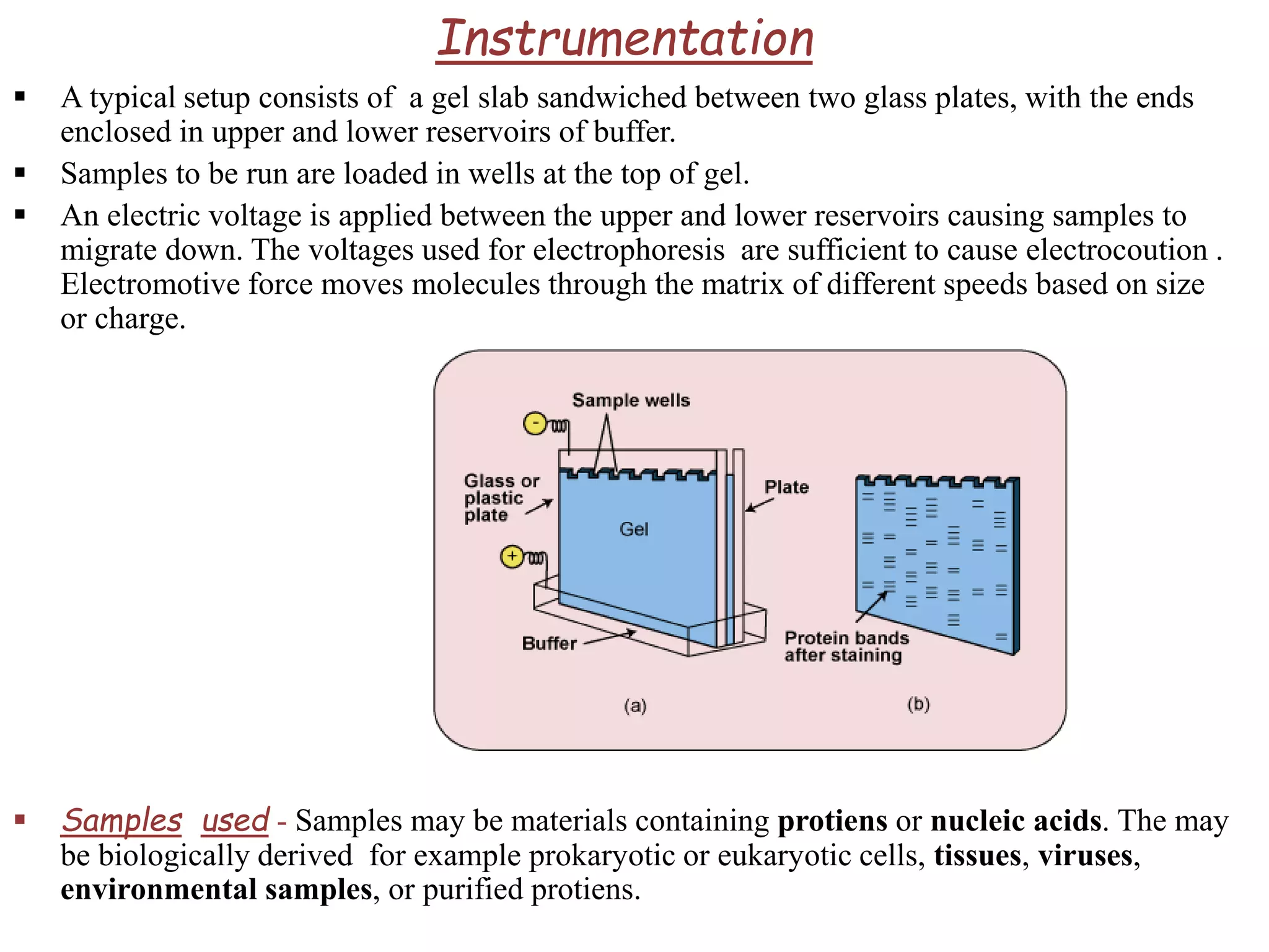 MUGDHA's SEMINAR MSc sem 1.pptx
