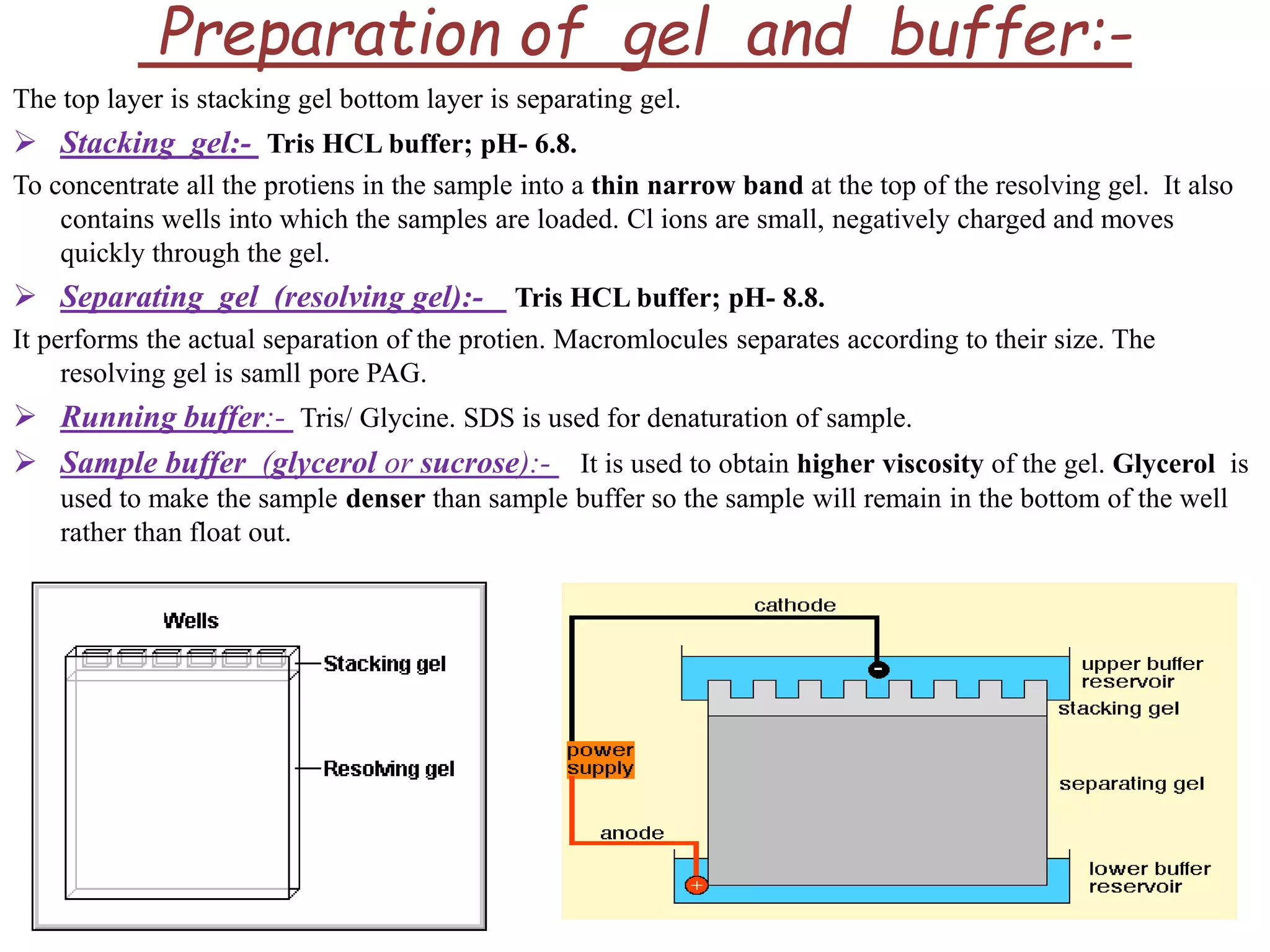 MUGDHA's SEMINAR MSc sem 1.pptx