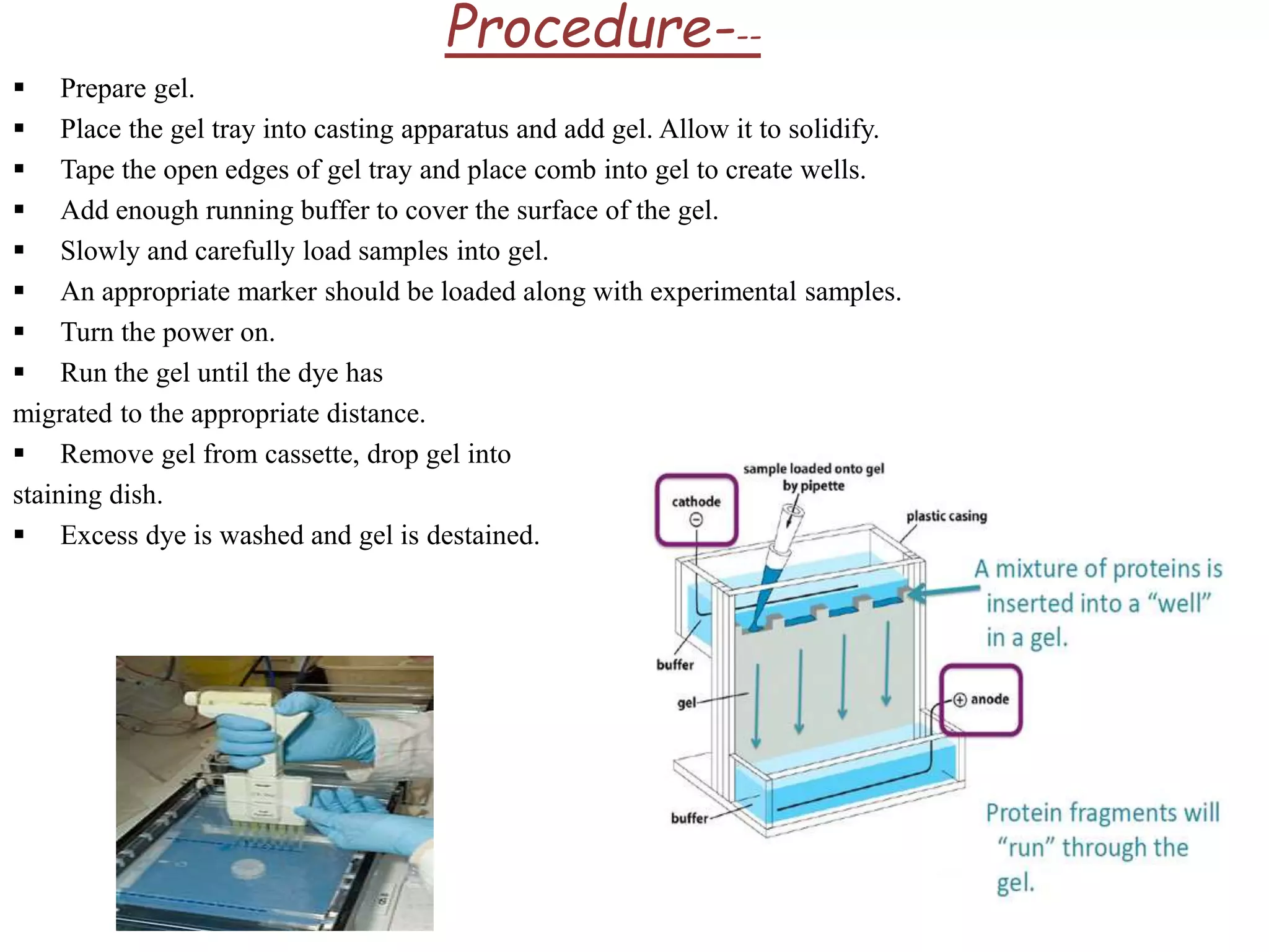 MUGDHA's SEMINAR MSc sem 1.pptx