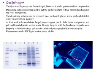 MUGDHA's SEMINAR MSc sem 1.pptx