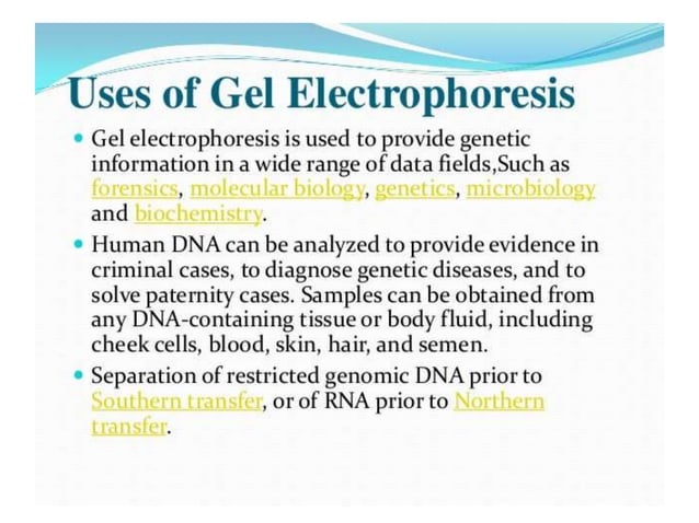 MUGDHA's SEMINAR MSc sem 1.pptx