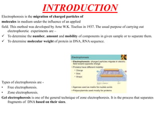 MUGDHA's SEMINAR MSc sem 1.pptx