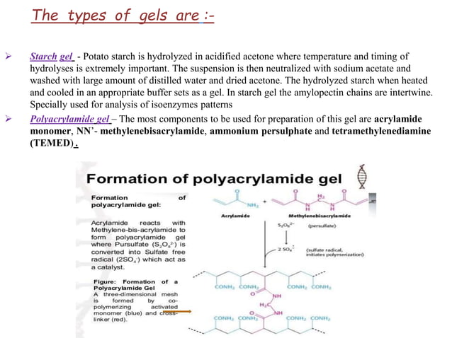 MUGDHA's SEMINAR MSc sem 1.pptx