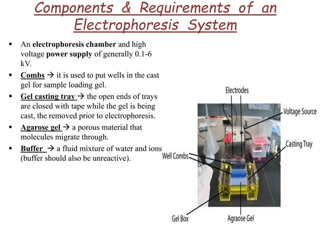 MUGDHA's SEMINAR MSc sem 1.pptx