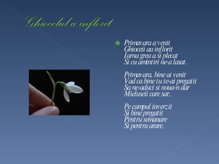 Muguri De Primavara | PPT