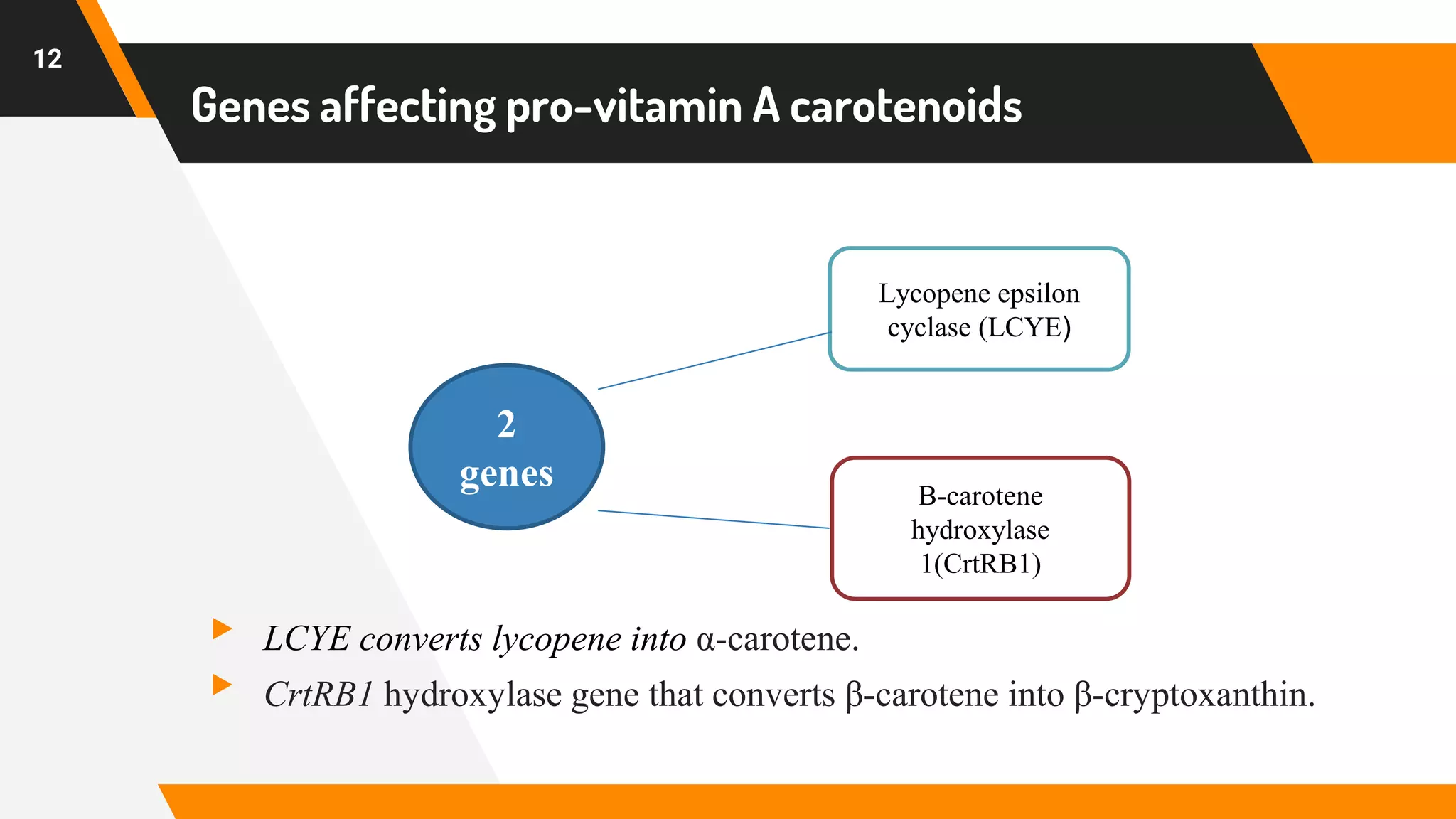Bio-fortification of maize with pro vitamin A carotenoids | PPT