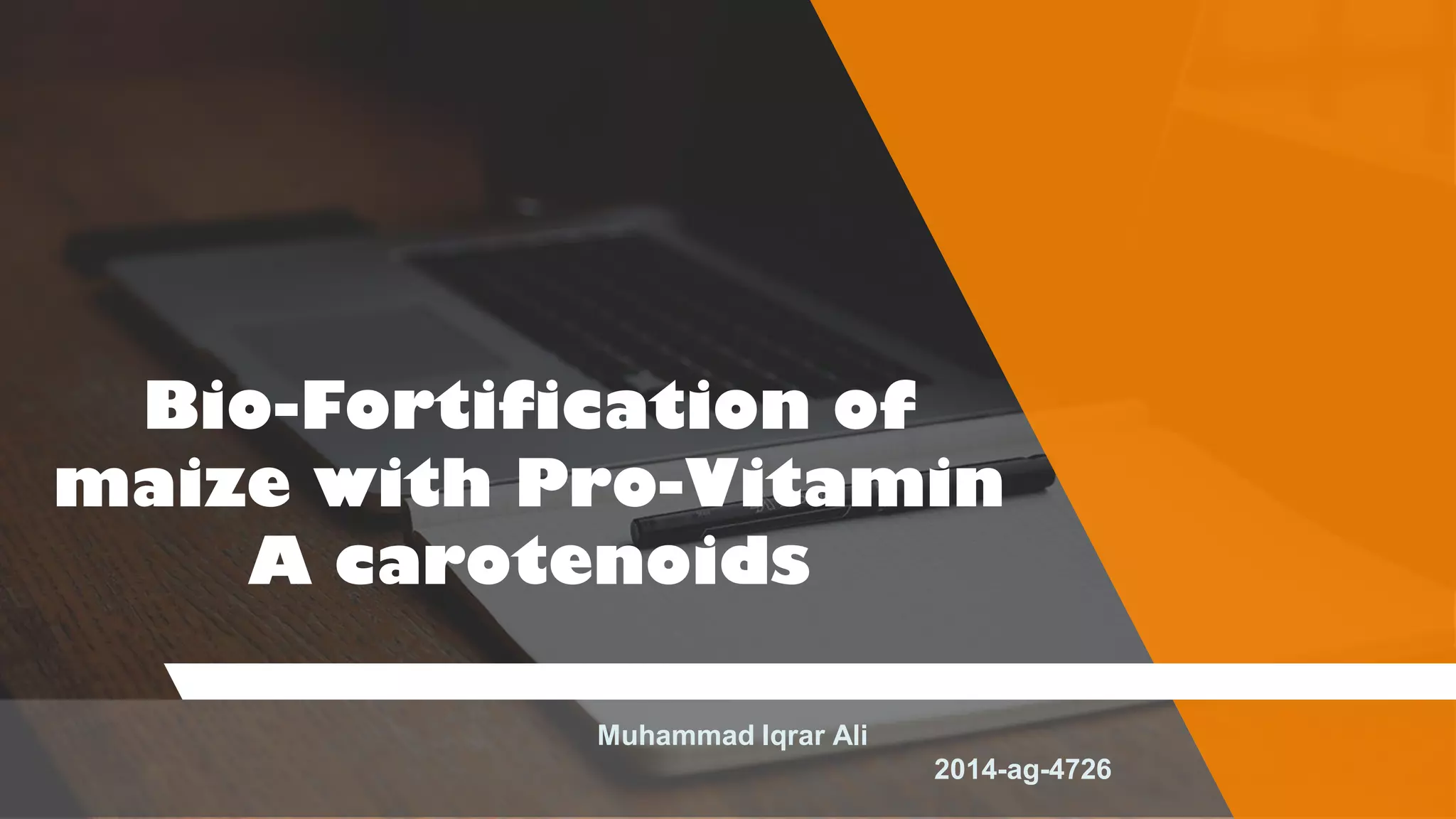 Bio-fortification of maize with pro vitamin A carotenoids | PPT