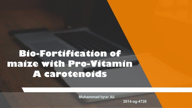 Bio-fortification of maize with pro vitamin A carotenoids | PPT