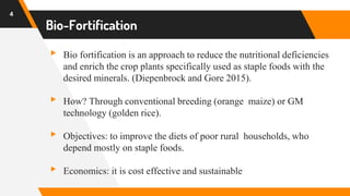 Bio-fortification of maize with pro vitamin A carotenoids | PPT