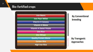 Bio-fortification of maize with pro vitamin A carotenoids | PPT