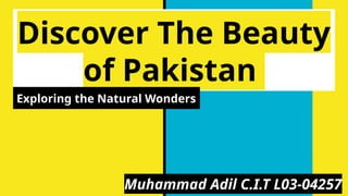 Muhammad Adil CIT Beauty of Pakistan.pptx