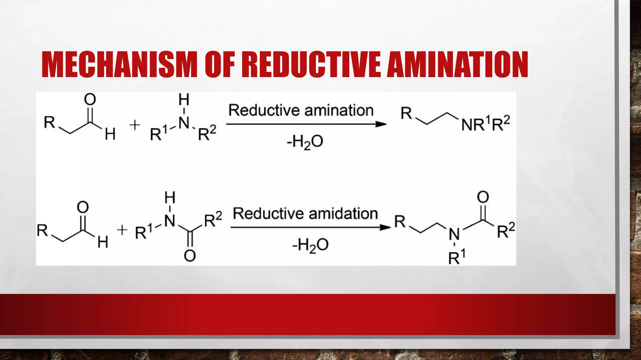 Amination | PPTX