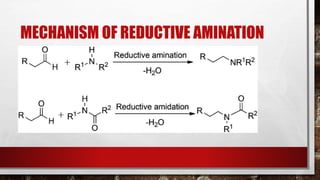 Amination | PPTX