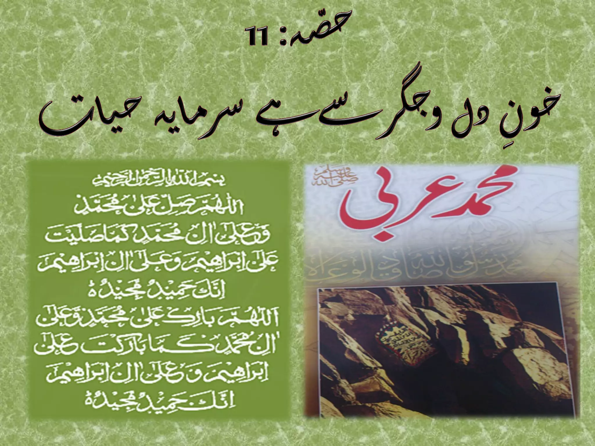Muhammad arabi 11 خونِ دل وجگر سے ہے سرمایہ حیات | PDF