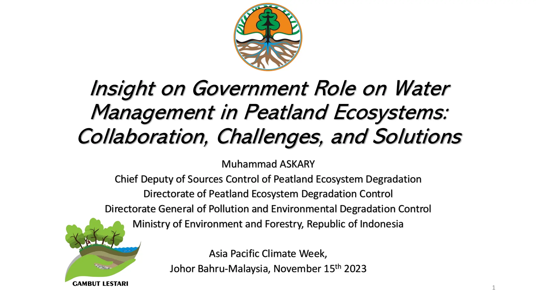 Insight on Government Role on Water Management in Peatland Ecosystems: Collaboration, Challenges ...