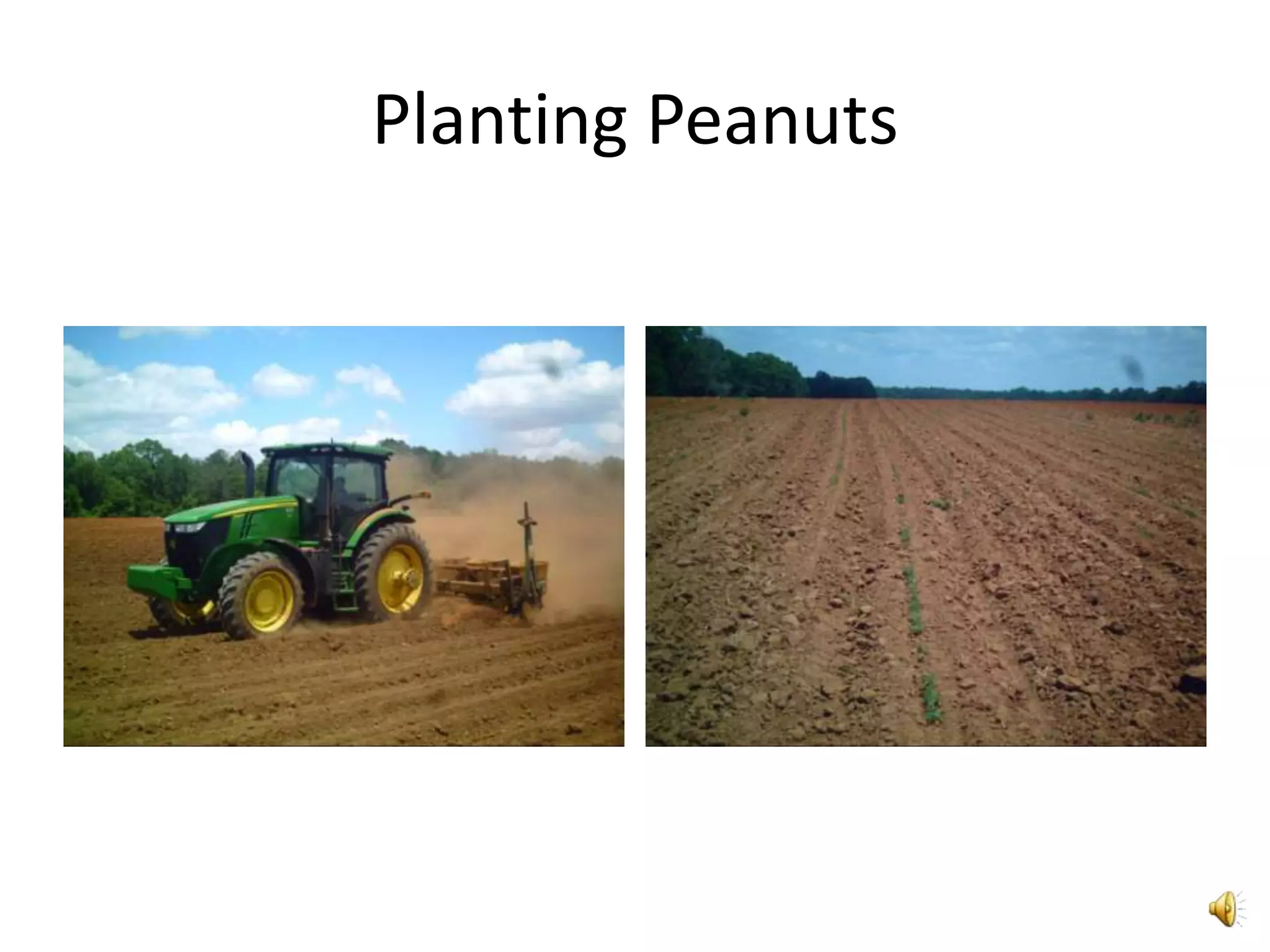 Muhammad Farms June 2013 Update | PPTX