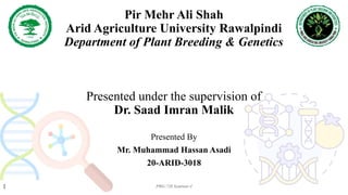 Molecular Marker Assisted Breeding in Plants | PPTX