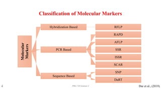 Molecular Marker Assisted Breeding in Plants | PPTX