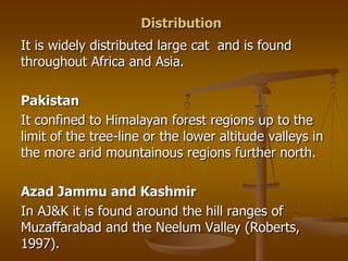 Muhammad kabir | PPT