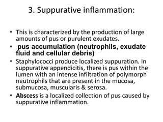 pattern of inflammation | PPT