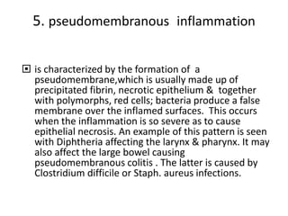 pattern of inflammation | PPTX