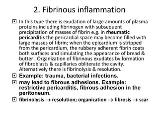 pattern of inflammation | PPTX