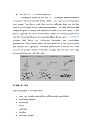 Muhammad parwis | DOCX