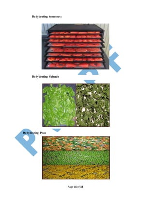 Muhammad rahil presentations dry vegetable business plan03336439776 | DOCX