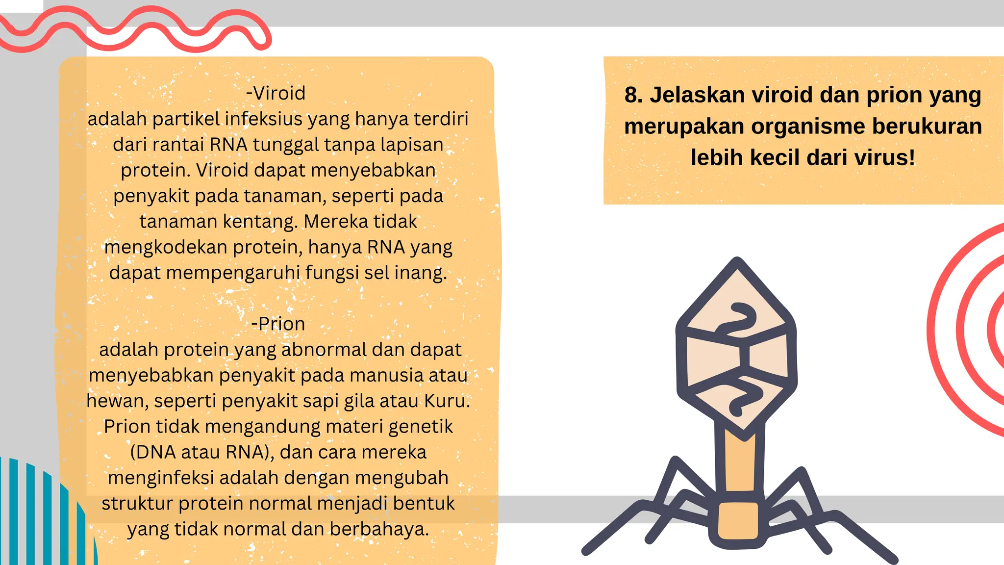 Covid-19 Virus Bakteri Ppt biologi kelas x | PDF