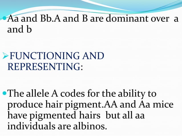 Muhammad saad iqbal | PPTX