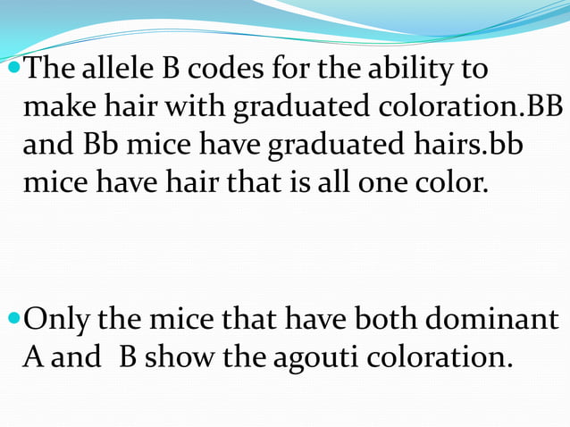 Muhammad saad iqbal | PPTX