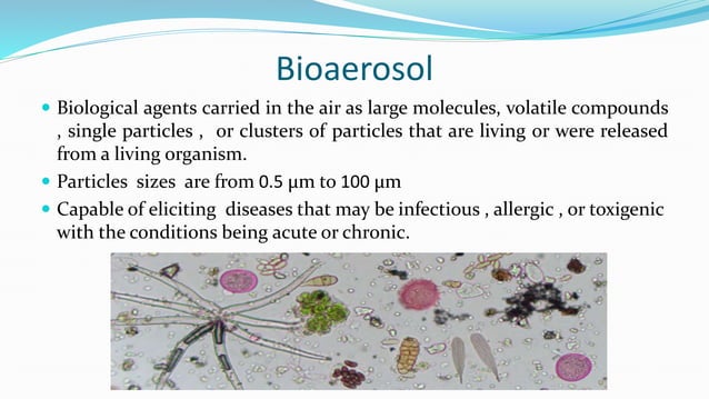Aerobiology | PPTX