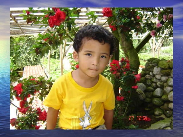 Muhammad syahmi | PPT