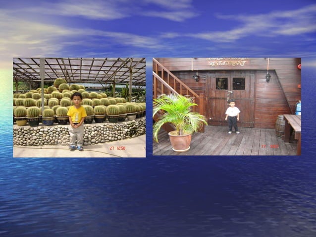 Muhammad syahmi | PPT