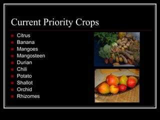 current priority of crops in agriculture | PPT