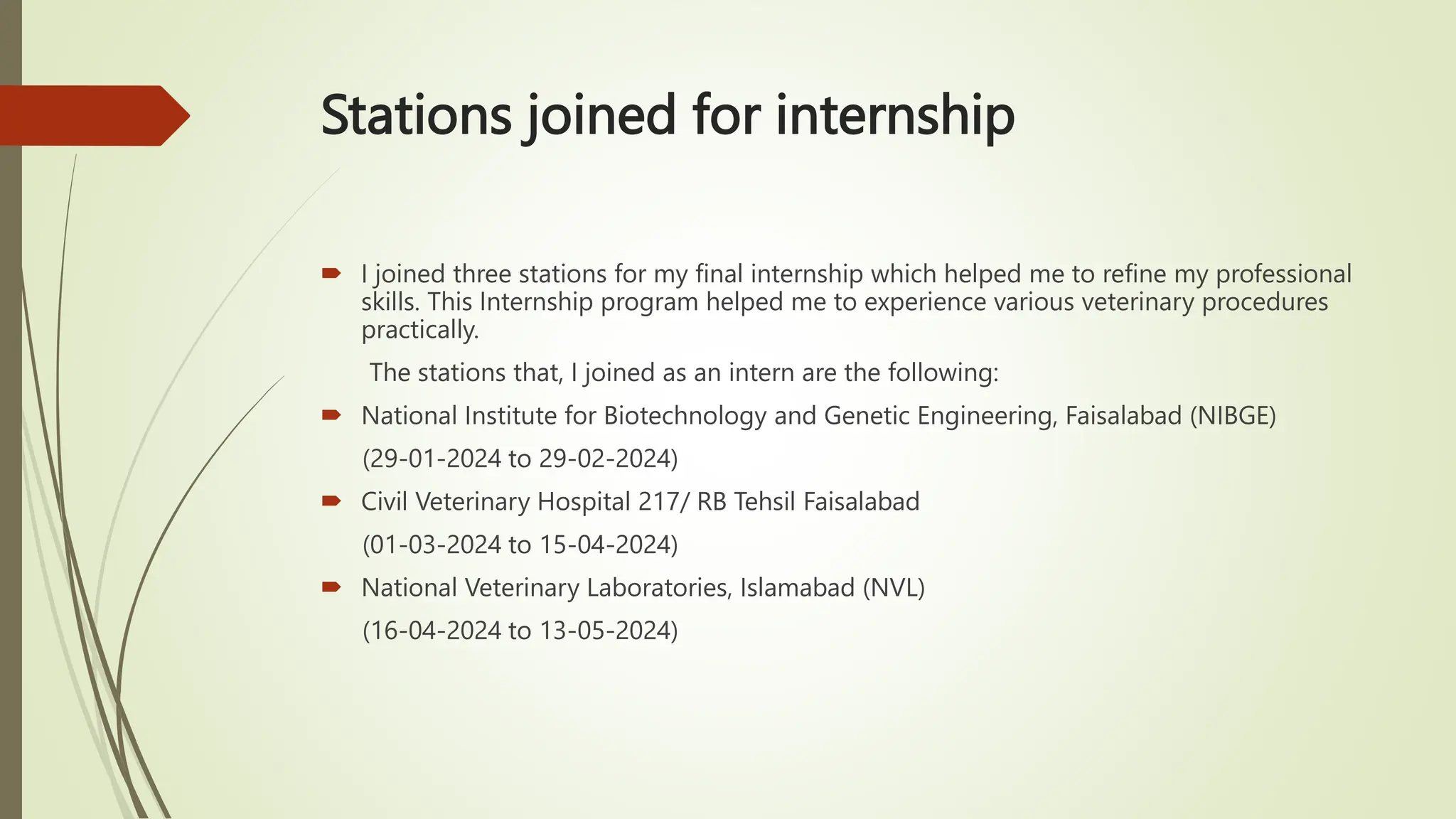 Muhammad Usama Internship Presentation.pptx