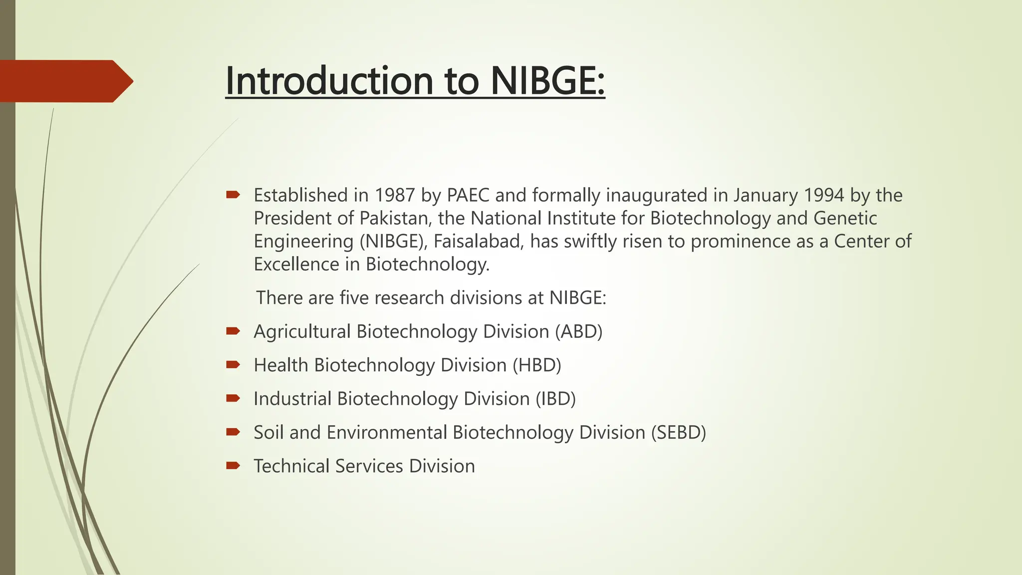 Muhammad Usama Internship Presentation.pptx