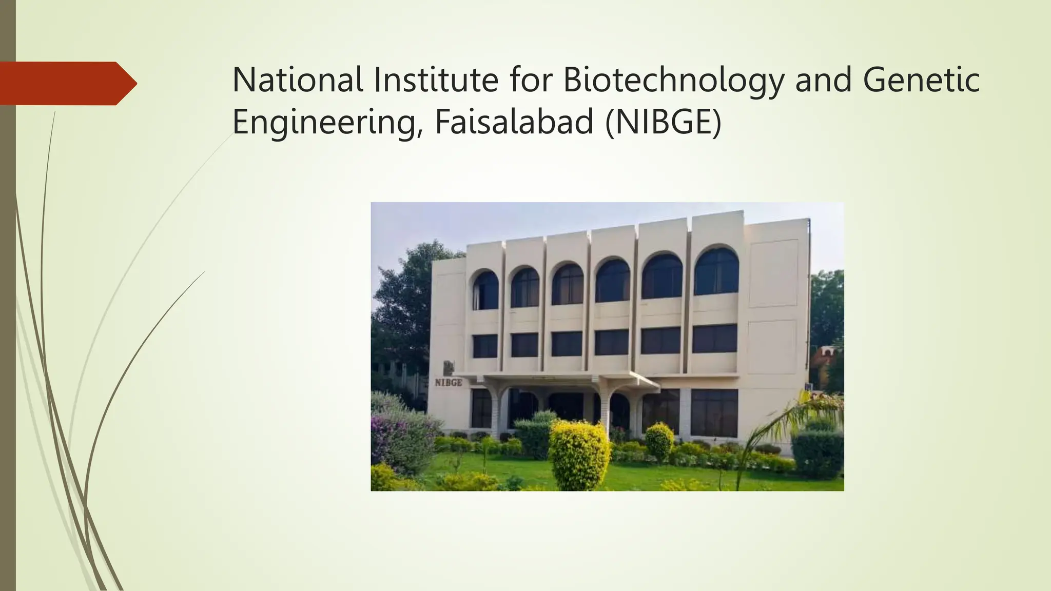 Muhammad Usama Internship Presentation.pptx