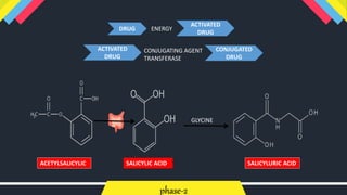 MUHAMMAD_ZUBAIR_F19-098.pptx