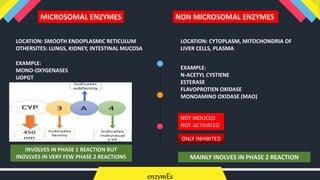 MUHAMMAD_ZUBAIR_F19-098.pptx