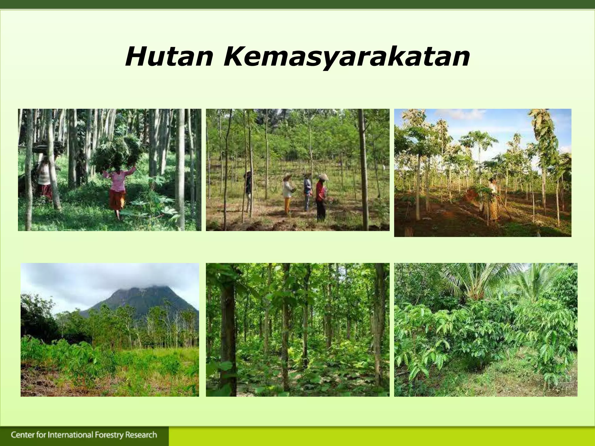 Perhutanan Sosial.pptx