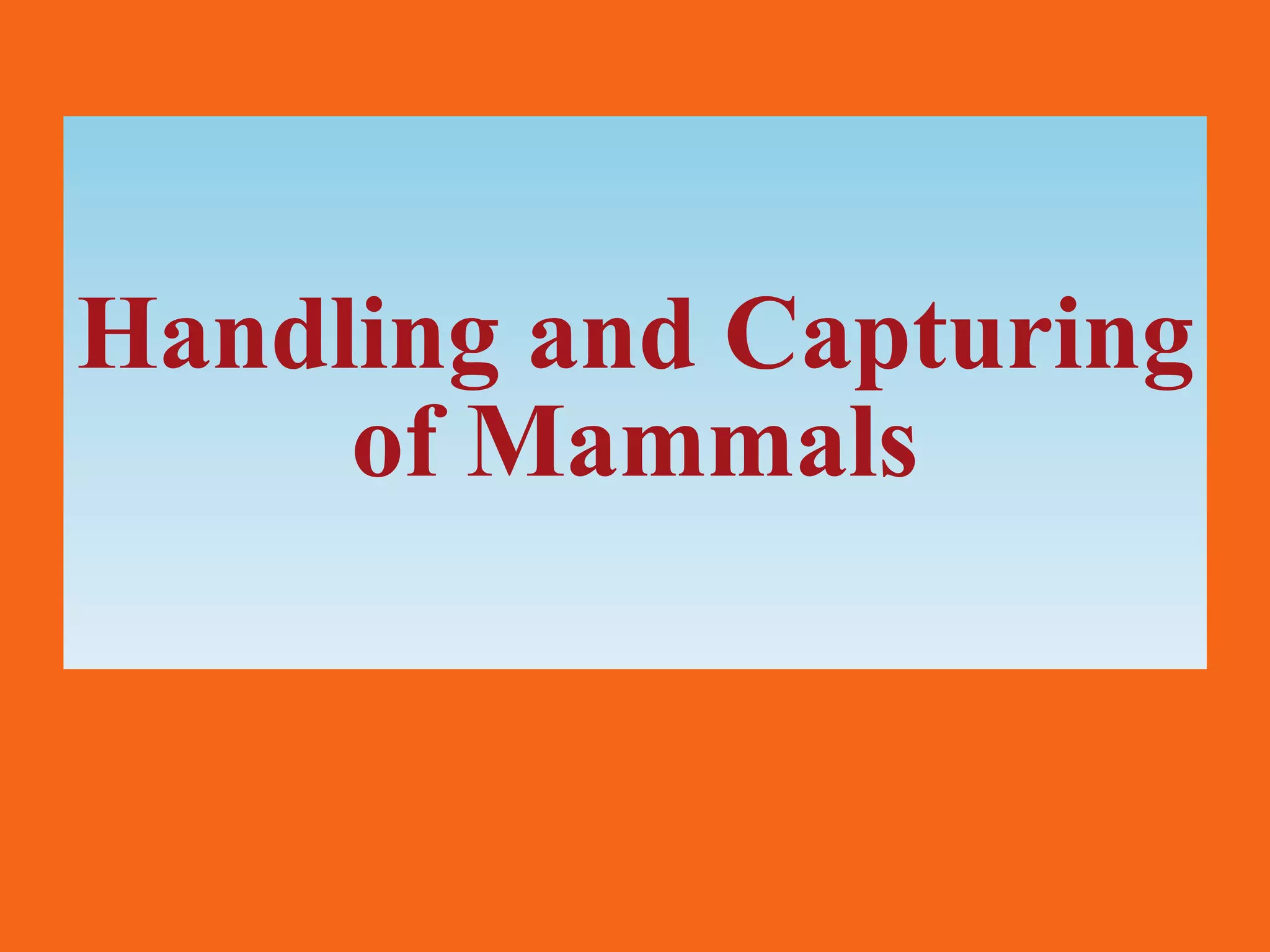 Handling and capturing of mammals | PPTX