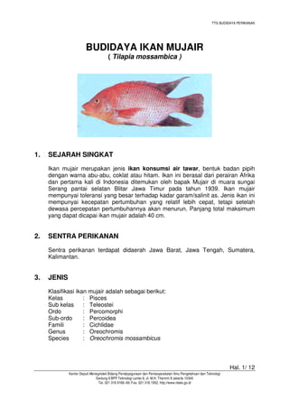 Pedoman Teknis Sukses Wirausaha Budidaya Mujair | PDF