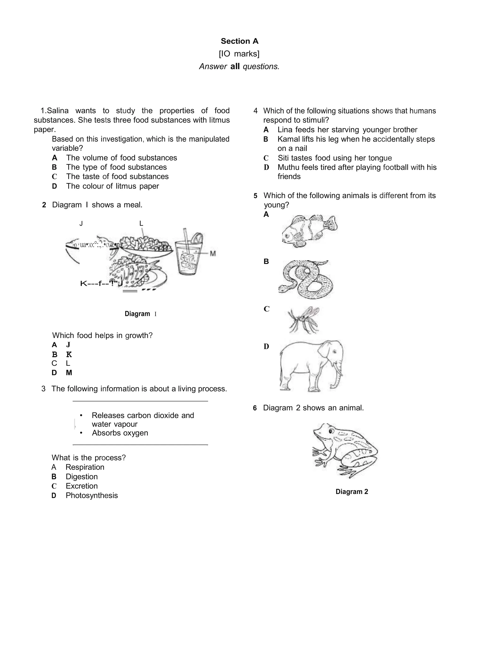 Science year 4dlp sekolah Rendah di Malaysia | DOCX
